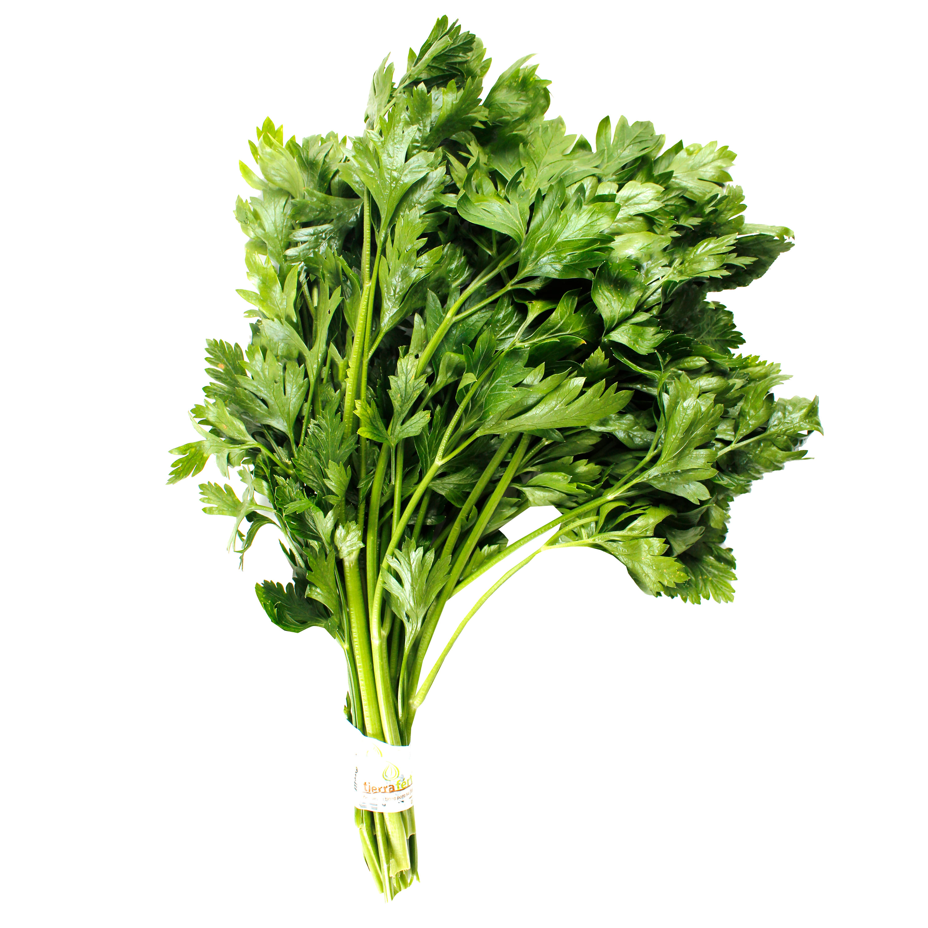 Comprar Perejil Liso Manojo - Unidad | Walmart El Salvador - Walmart ...