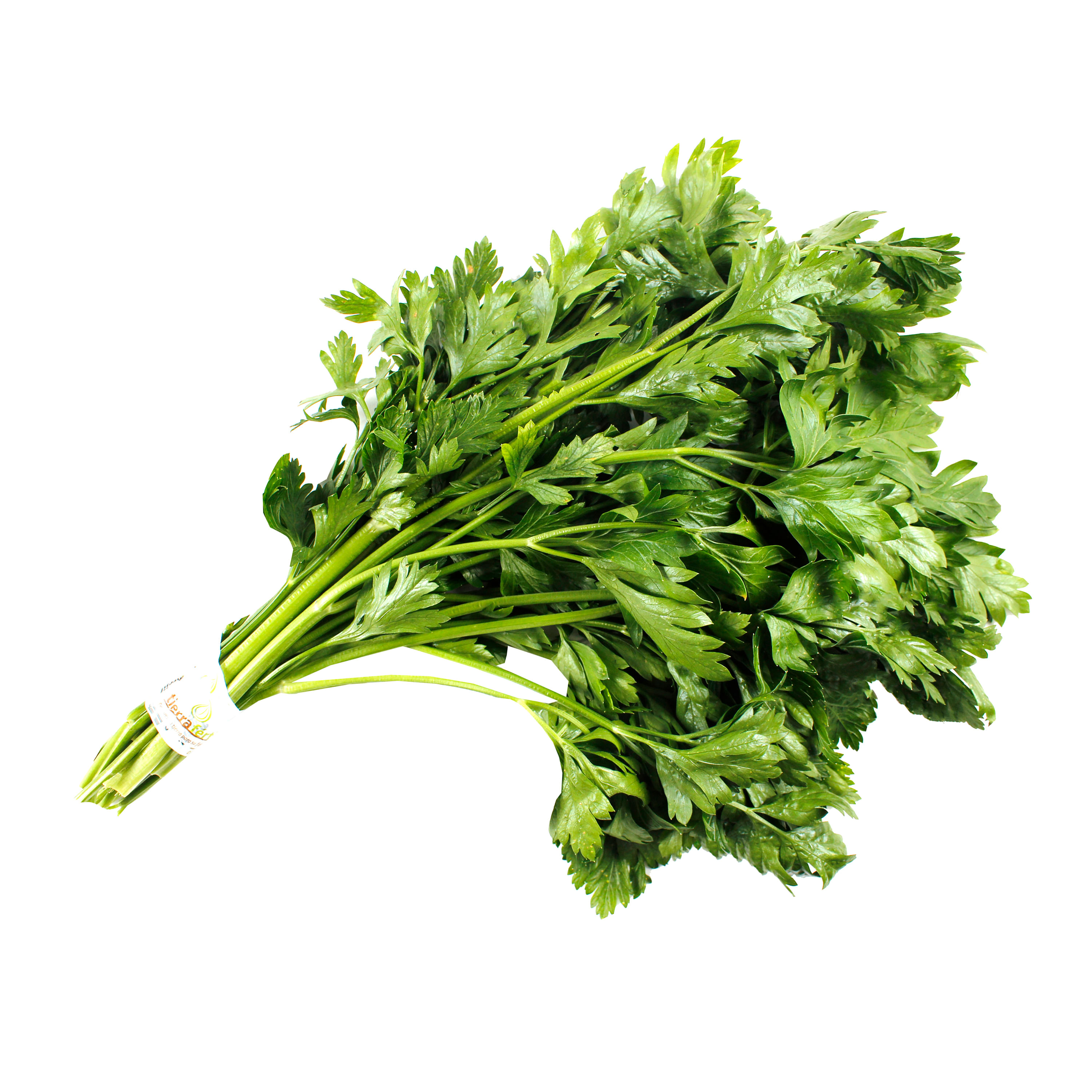 Comprar Perejil Liso Manojo - Unidad | Walmart El Salvador - Walmart ...