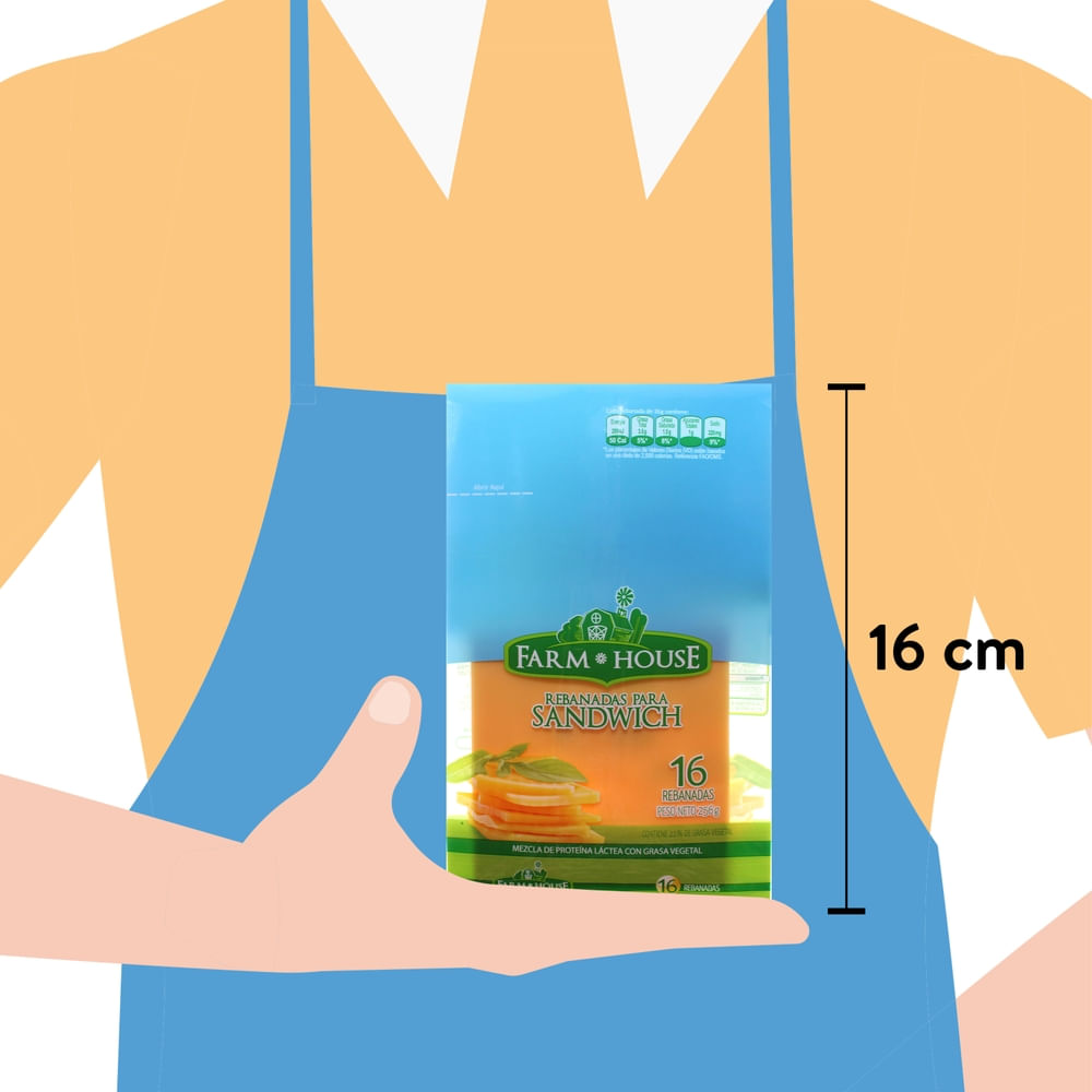 Comprar Queso Farm House Americano Análogo 16 Rebanadas - 256 g ...